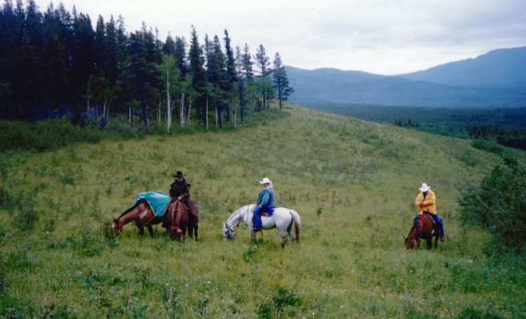 David 'Dave' Dennis Courtney Flynn | Rod Abrams Funeral Home Ltd.